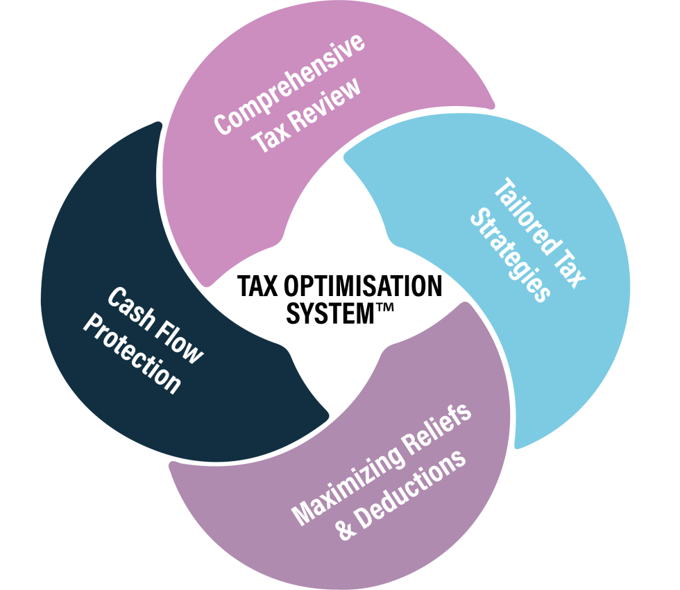 Tax Optimisation System - The Tax Guys